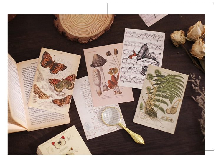 Butterflies & Mushrooms Cottagecore Aesthetic Postcards 30pcs – Venus&Orion